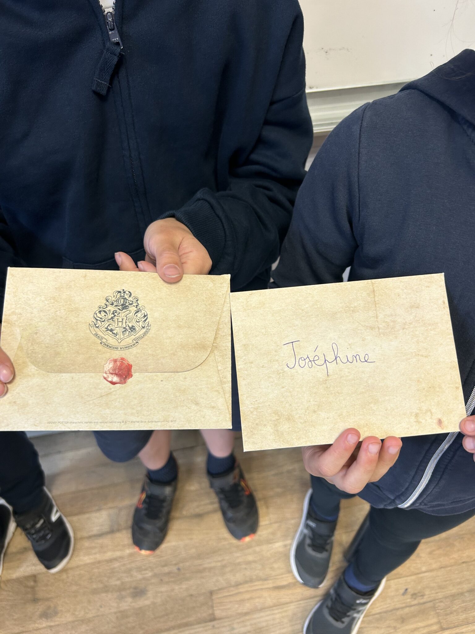 Projet Harry Potter CM1 C - Institution Sainte-Geneviève d'Asnières-sur ...